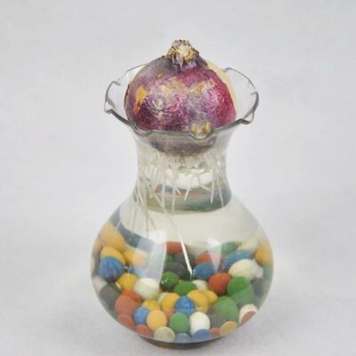 Hydroponic hyacinth bottle with wavy lace plastic vase, hydr