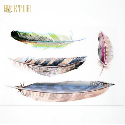 The car scratches and fixes the feathers and the transparent