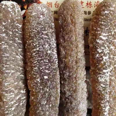 澳洲黄秃海参黄秃参金沙参光秃参黄玉海参沙秃参明秃参干货100头