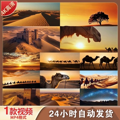 高清壮丽沙漠风光骆驼商队丝绸之路大漠夕阳驼队行走视频素材