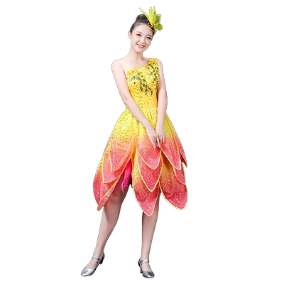 2025新款现代舞演出服女蓬蓬裙