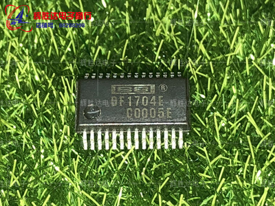 DF1704E进口现货SSOP28脚 音频解码器数字滤波器芯片集成电路IC
