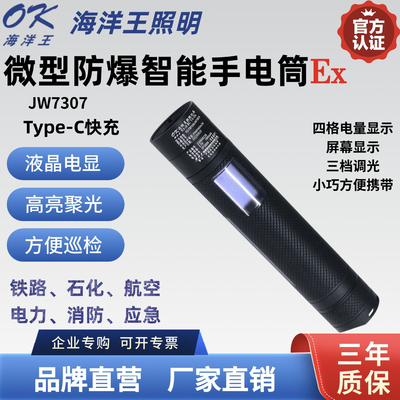 海洋王JW7307A防爆FBP240手电筒