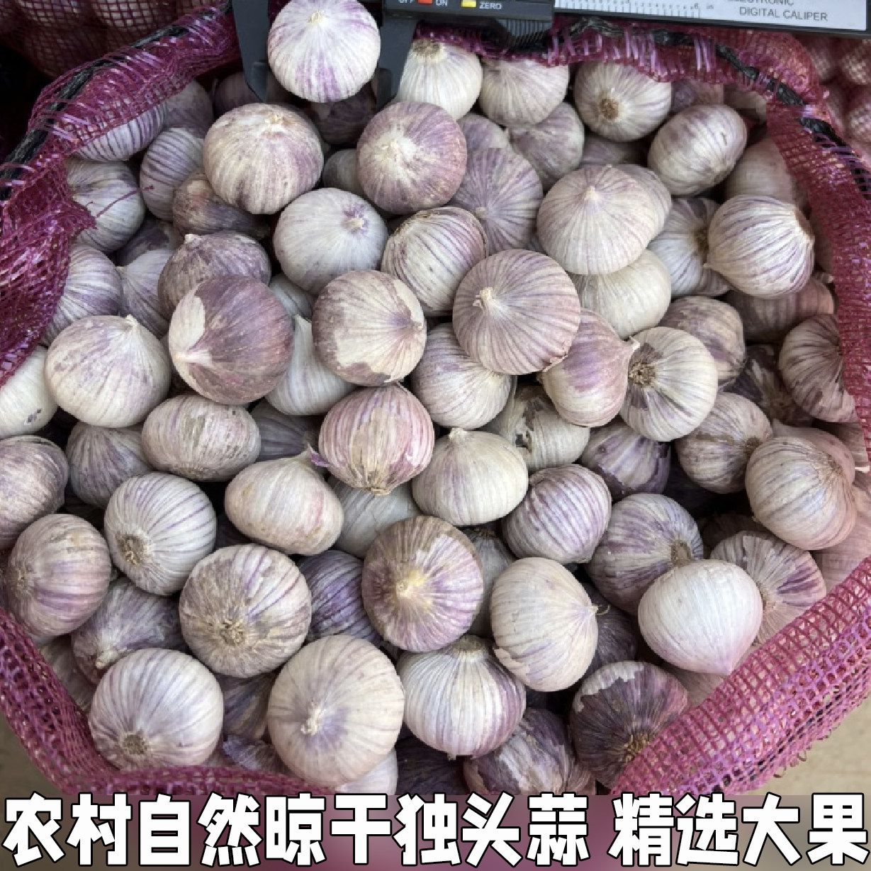 云南紫皮独头蒜干蒜独蒜新大蒜头香蒜农家自种特产蔬菜蒜头