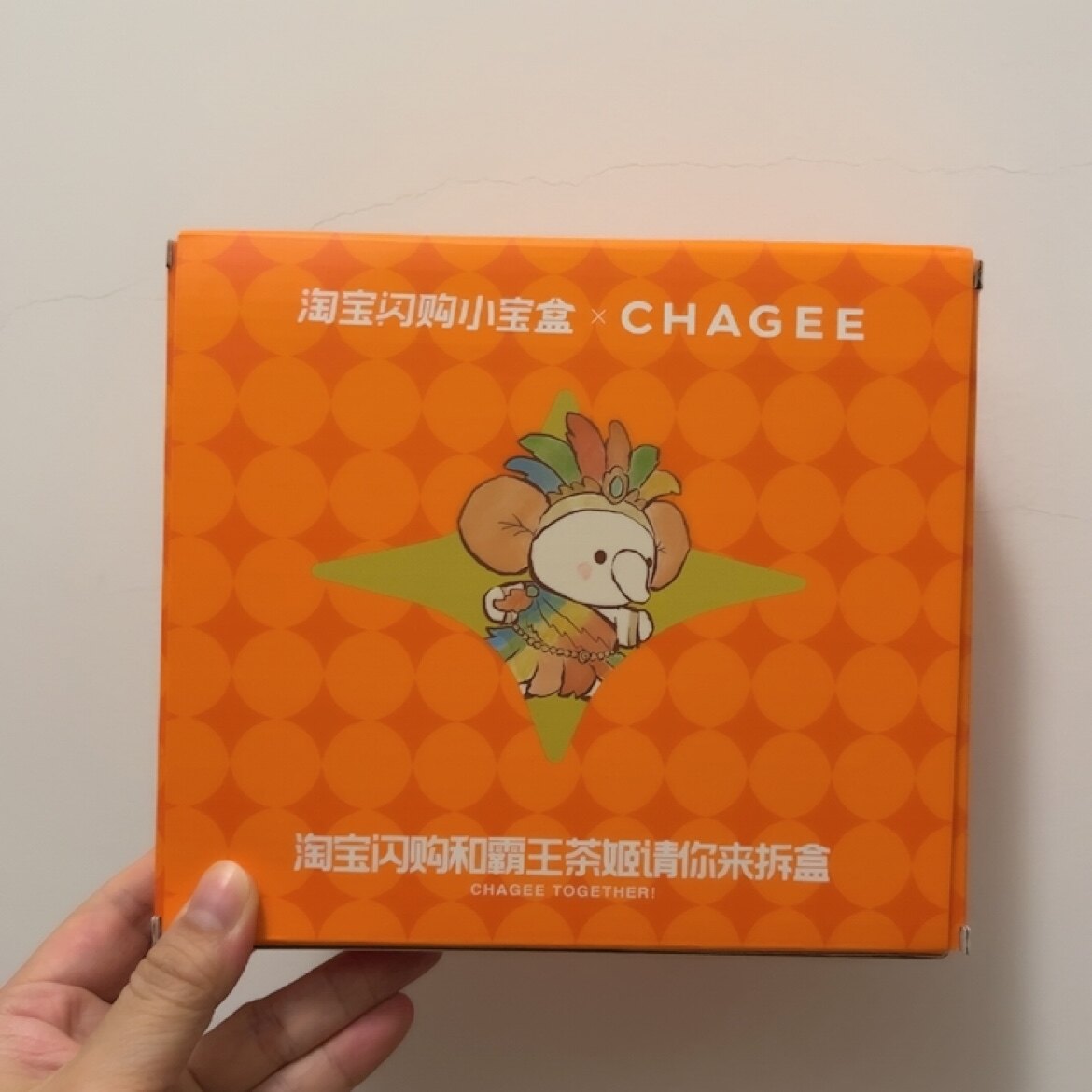 全新淘宝闪购小宝盒霸王茶姬茶小象护照夹证件包卡包收纳挂绳旅行