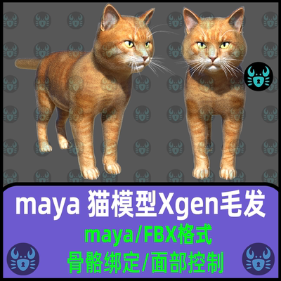 maya花猫模型动物模型Xgen毛发阿诺德材质骨骼绑定面部控制3D模型