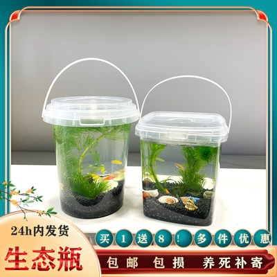 生态瓶活鱼真水草24小时内江苏发