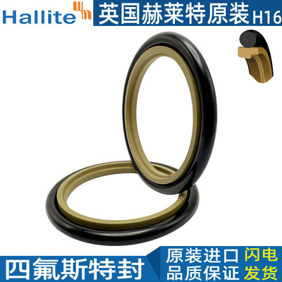 赫莱特HALLITE英国四氟组合油封
