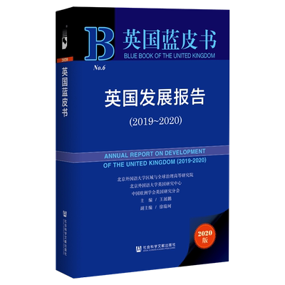 现货 英国发展报告（2019~2020）王展鹏 徐瑞珂 英国蓝皮书 社会科学文献出版社 社科文献官方正版 202011