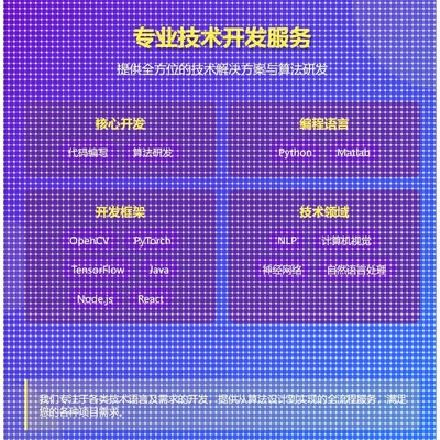 Python代编程深度学习模型训练遥感医学图像识别机器学习覆现创新