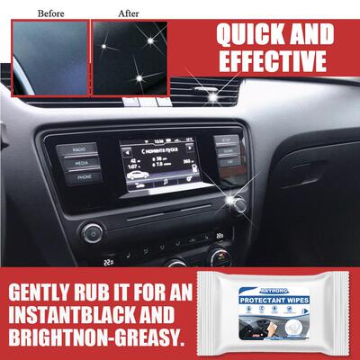 Rayhong Wet Wipes for Glass, Leather Interior, Sofa, Dashboa