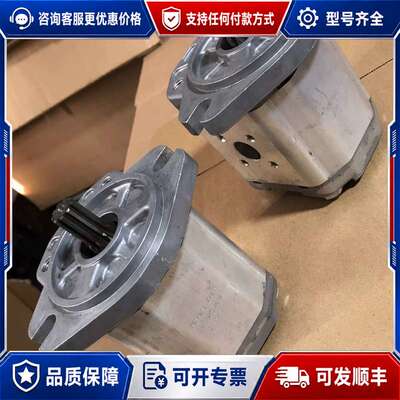 议价意大利BONDIOLI&PAVESI齿轮泵SMLPD/B22可维修