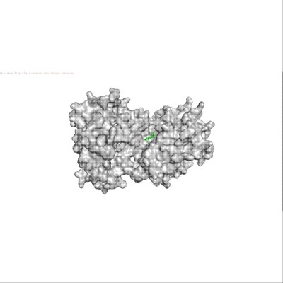 分子对接 分子动力学模拟 Autodock分子对接 PyMOL可视化