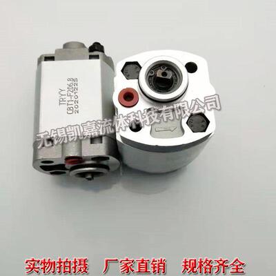 新款TRYY液压油泵CBT1-F206.8 CBT1-F202.1 CBT1-F201.2 CBT1包邮