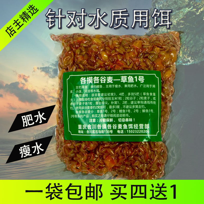 重庆各摸各合川谷麦逗钓鱼饵鲫鲤草鱼打窝饵料包谷子河流水库玉米