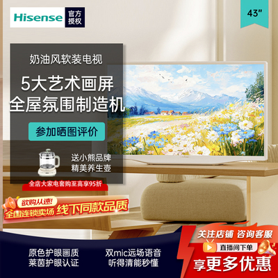 海信43英寸小尺寸艺术家装电视