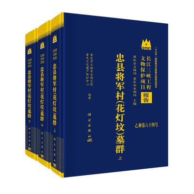 忠县将军村(花灯坟)墓群(全三册)