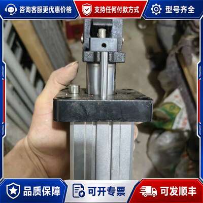 议价RS1H63-30TL-DS 重载止动气缸可维修