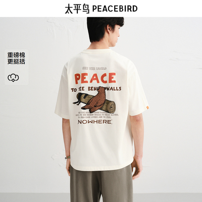 【Jonas联名】太平鸟男装 重磅刺绣宽松白色短袖T恤男B2CNF3201