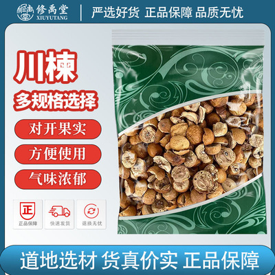 川楝子新货正品楝树子金铃子川楝实苦楝子