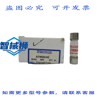 现货供应 FERRAZ SHAWMUT ATM30/40 600VAC 30/40A（10个装）（白
