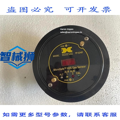 原装供应 DETCON TP-524D MICROSAFE H2S 传感器