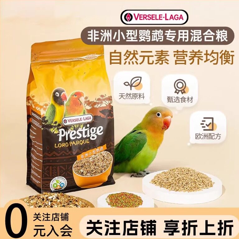 比利时凡赛尔牡丹鹦鹉专用粮食饲料进口玄凤小型谷子鸟食混合鸟粮