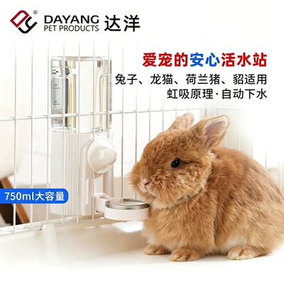达洋兔龙猫豚鼠外置悬挂饮水器