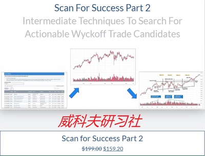 Wyckoff analytics-Scan For Success Part 2 （选股课中英字幕）