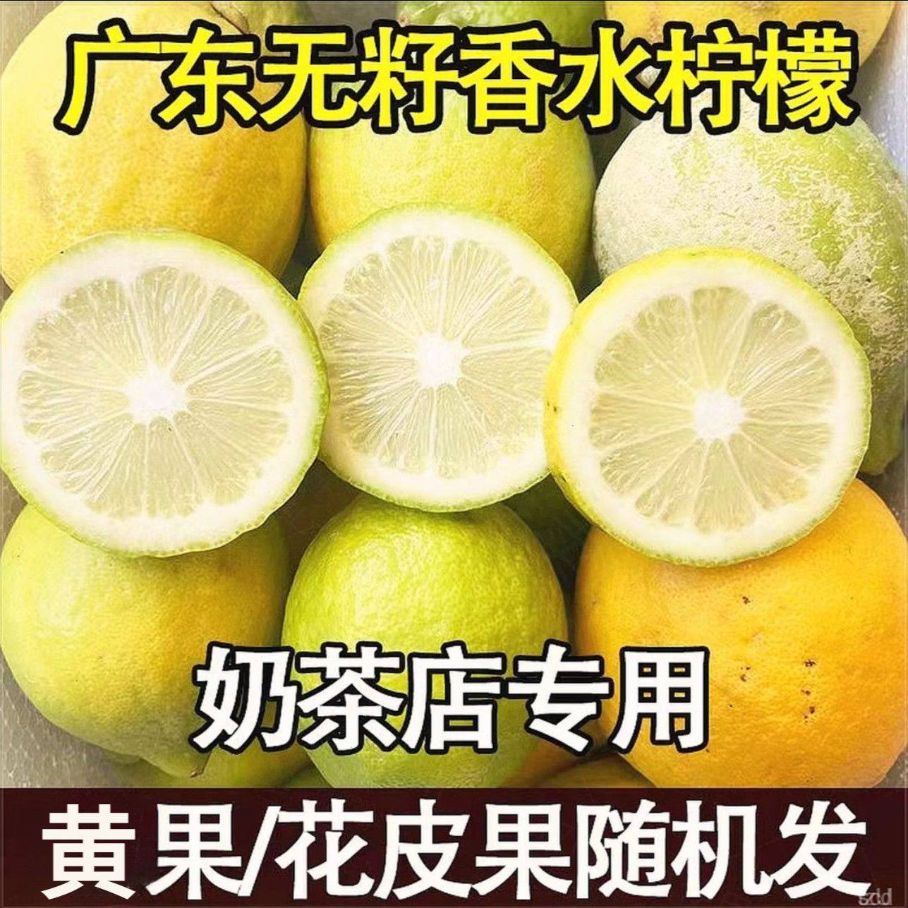 广东香水柠檬黄鲜果黄果奶茶专用手打柠檬茶浓香型黄果柠檬直发