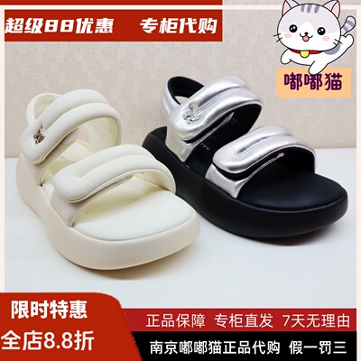 KissKitty小猫2024夏季