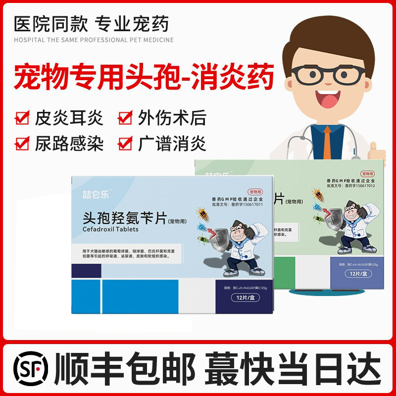 宠物狗猫咪用消炎药头孢羟氨苄脓皮症猫咪感冒外伤消炎药抗菌真菌
