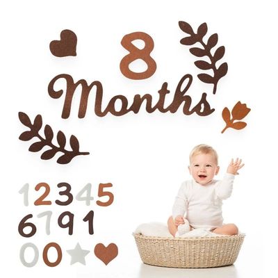 0-10 Digital Milestones Newborn Baby Milestone Wool Felt Dig
