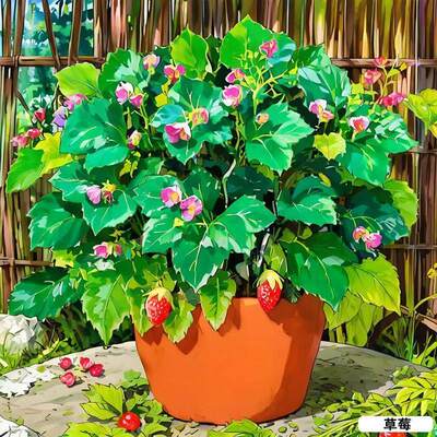 Four seasons seeding‌ is ideal for creatingacontinuousbloom