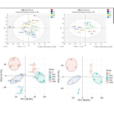 r语言生物统计生信分析可视化r代做视频辅导生信分析服务二代测序