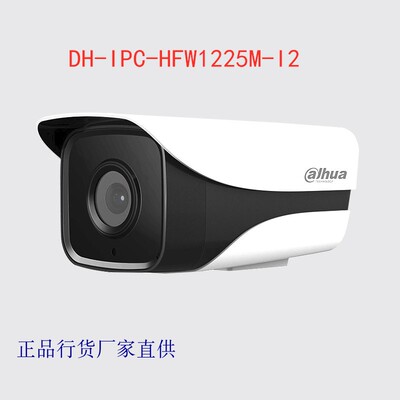 大华网络夜视摄像头