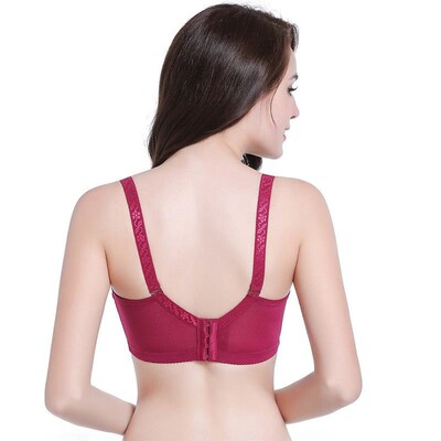 Cross-border lace tempura plus-size bra hot style has steel