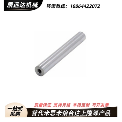 替代上隆直杆型导向轴ESB-D10 16 20 30 35 40 50-L90-M6 30-N4 6