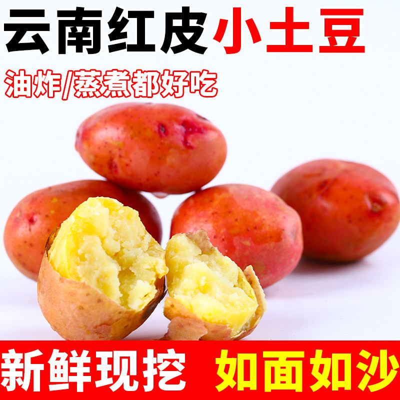 云南小土豆红皮黄心农产品新鲜蔬菜洋芋马铃薯红皮黄心特产10包邮