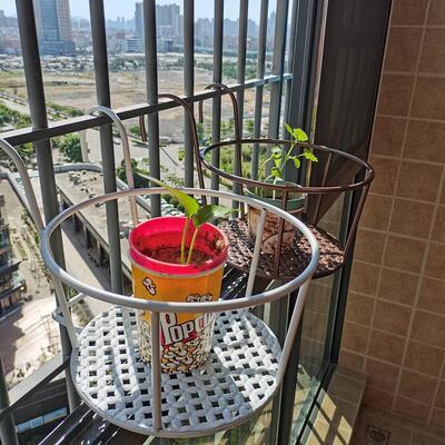 The thickened balconies of the balconies of the balconies of