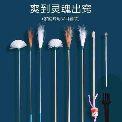 Professional Ear Cleaning Tool Set, including ear picks, dig