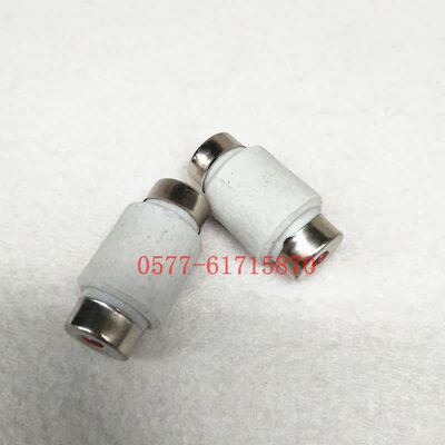 RLS1-2A46805A快速熔断