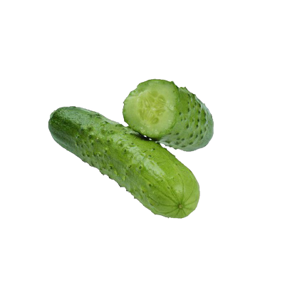 北方农家沙拉荷兰海阳白玉小黄瓜