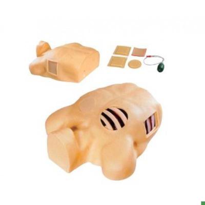 胸腔闭式引流模h型液胸插管引流练习气胸液胸闭式引流操作训练护