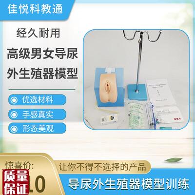 男女性护理导尿外生n殖器模型练习模具导尿训练模型整体导尿培