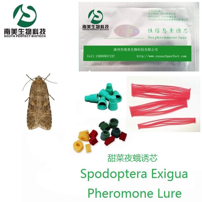 甜菜夜蛾信息素诱芯,性诱剂、昆虫信息素;包邮