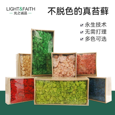 diy保鲜花垂直绿化仿真永生苔藓