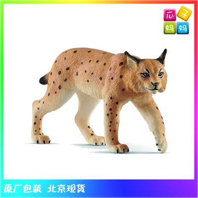 仿真模型玩具野生动物