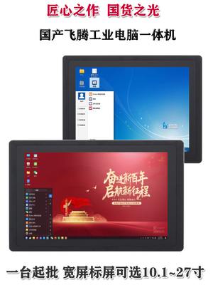 国产麒麟系统工业电脑一体机12寸