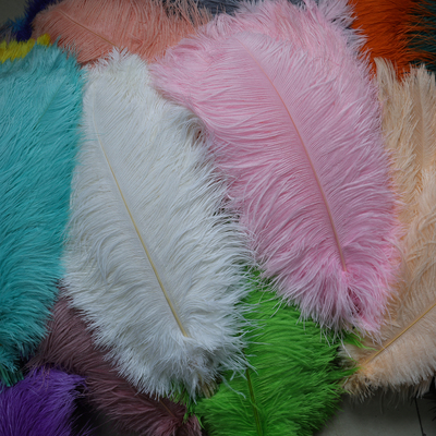 彩色鸵鸟羽毛40-45cm插花材料